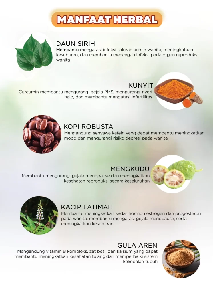 Queen Secret Coffee – Solusi Masalah Kewanitaan